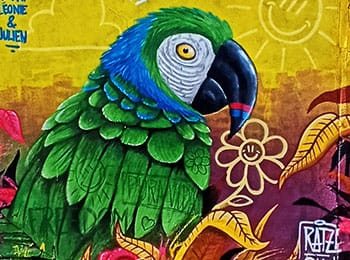 Ratz One profil, bio et photos de l'artiste - street-artwork.com