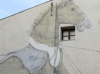 Profil, bio et photos de l'artiste Ericailcane - street-artwork.com
